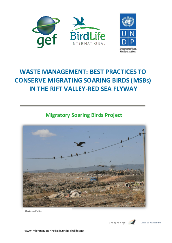 (PDF) WASTE MANAGEMENT: BEST PRACTICES TO CONSERVE MIGRATING SOARING ...