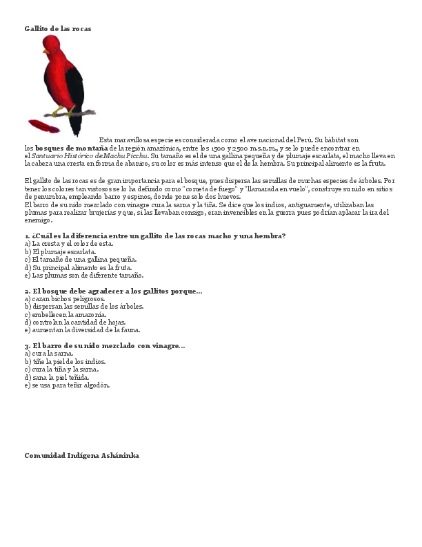 (DOC) EJERCICIOS DE COMPRENSION LECTORA SEC