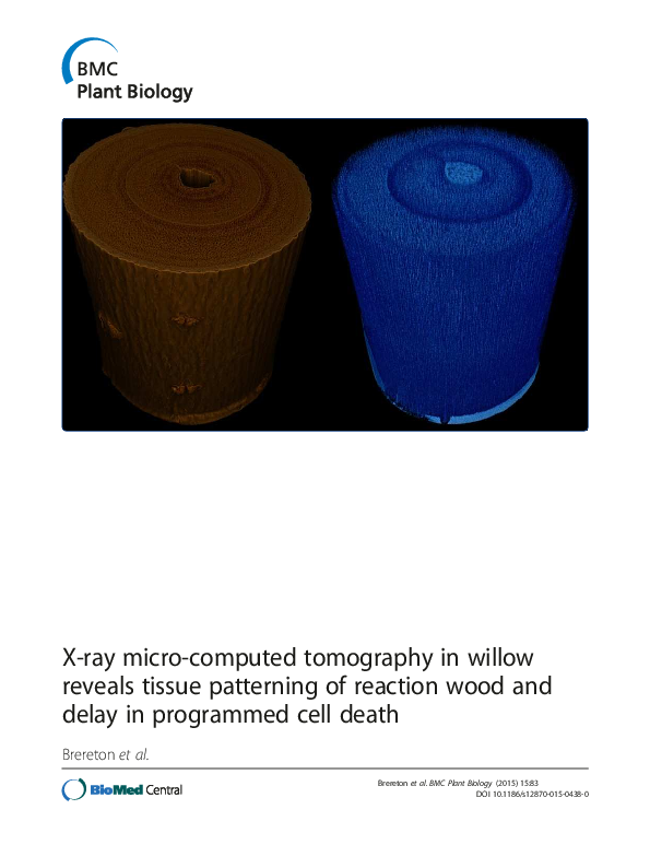 (PDF) X-ray micro-computed tomography in willow reveals tissue ...