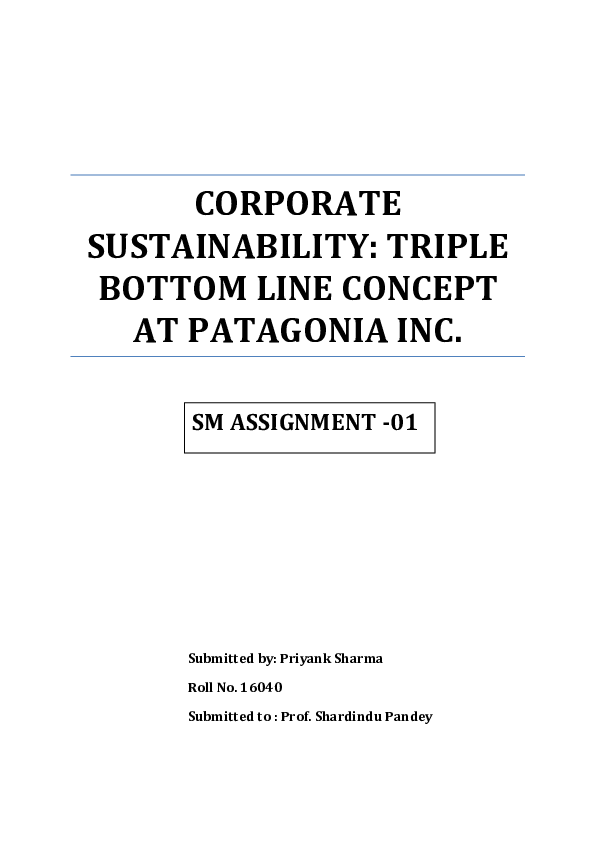 (PDF) CORPORATE SUSTAINABILITY: TRIPLE BOTTOM LINE CONCEPT AT PATAGONIA ...