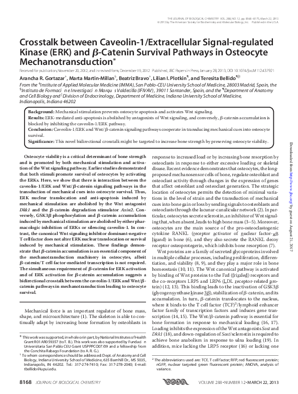 (PDF) Crosstalk between Caveolin-1/Extracellular Signal-regulated ...