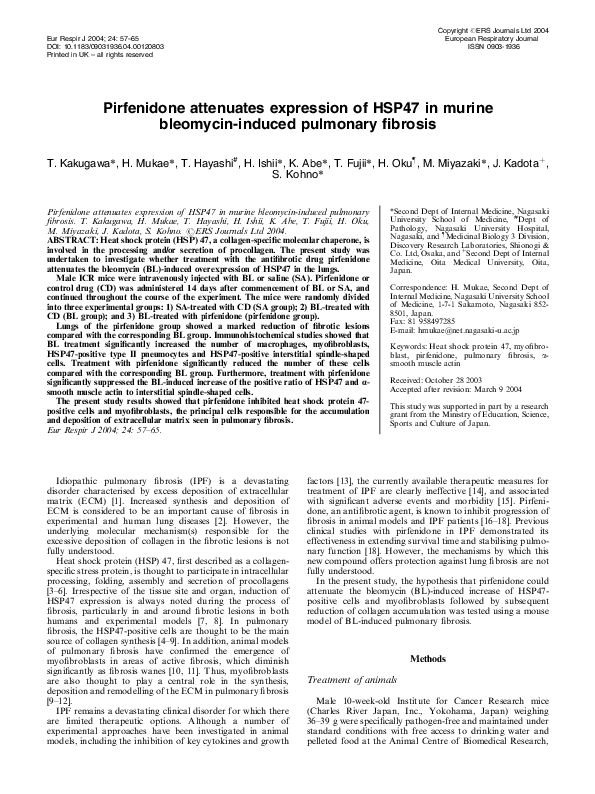 (PDF) Pirfenidone attenuates expression of HSP47 in murine bleomycin ...