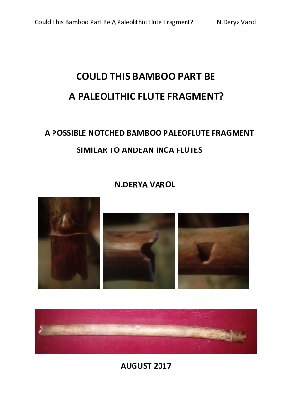 (PDF) COULD THIS BAMBOO PART BE A PALEOLITHIC FLUTE FRAGMENT?