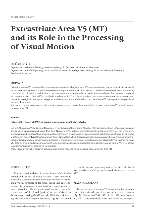 (PDF) Extrastriate area V5 (MT) and its role in the processing of ...