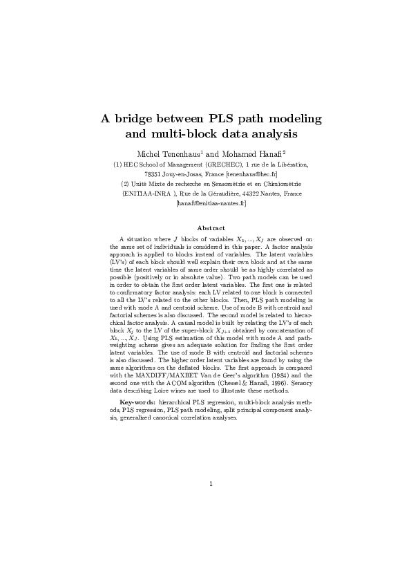 (PDF) A Bridge Between PLS Path Modeling and Multi-Block Data Analysis | Mohamed Hanafi ...