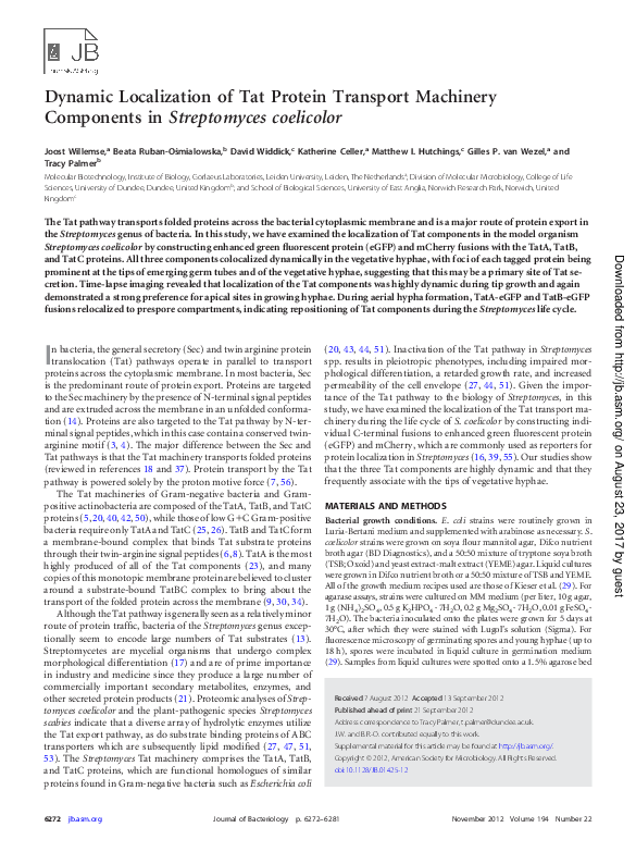 (PDF) Dynamic Localization of Tat Protein Transport Machinery ...