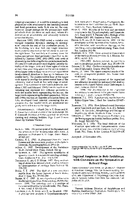 (PDF) Inguinal Amplexus in Bufo fastidiosus, with Comments on the ...