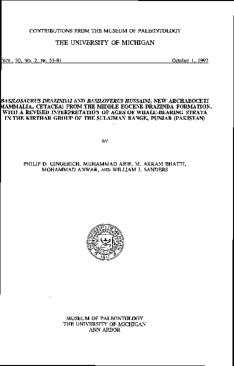 (PDF) Basilosaurus drazindai and Basiloterus hussaini, New Archaeoceti ...