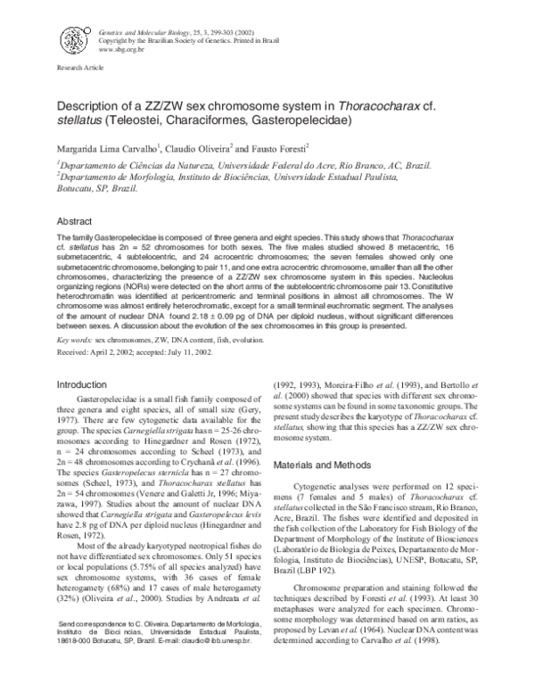 (PDF) Description of a ZZ/ZW sex chromosome system in Thoracocharax cf ...