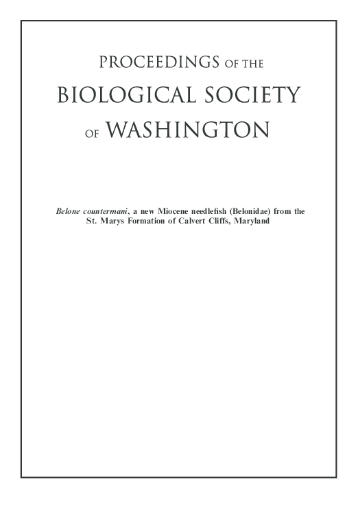 (PDF) † Belone countermani , a new Miocene needlefish (Belonidae) from ...