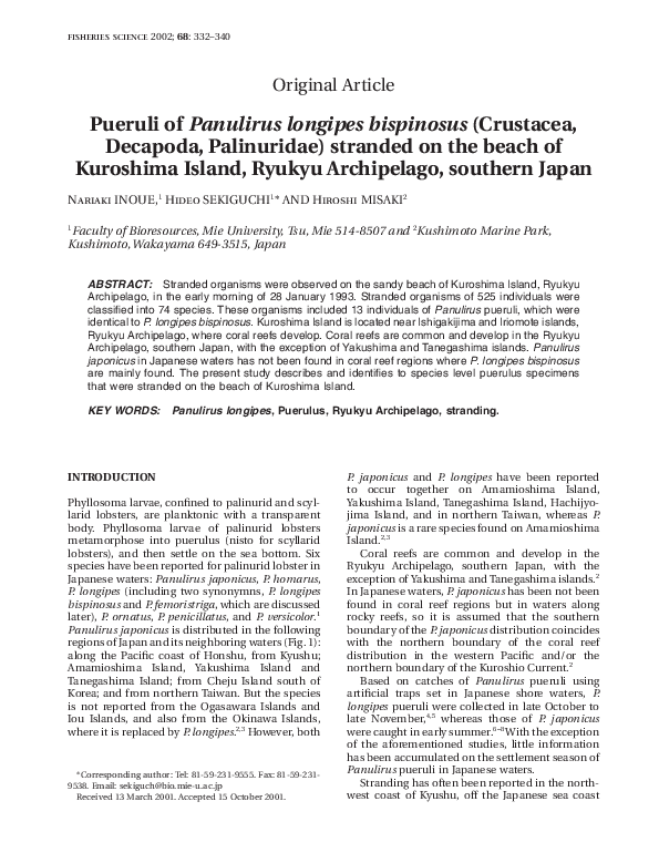 (PDF) Pueruli of Panulirus longipes bispinosus (Crustacea, Decapoda ...