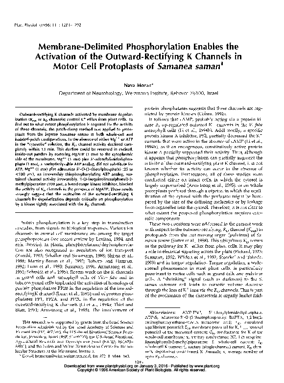 (PDF) Membrane-Delimited Phosphorylation Enables the Activation of the ...