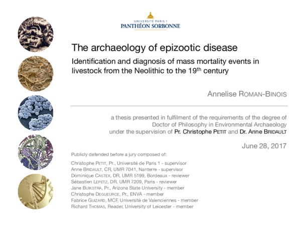(PDF) The archaeology of epizootic disease: Identification and ...