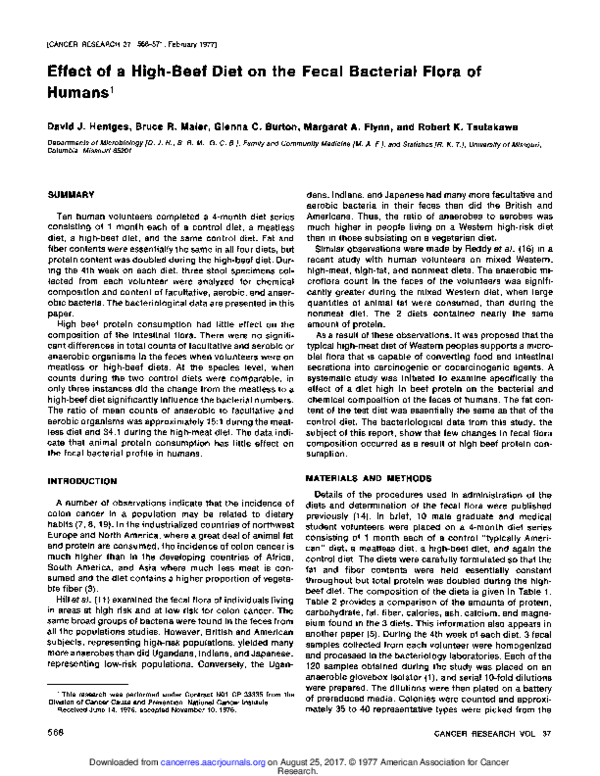 (PDF) Effect of a High-Beef Diet on the Fecal Bacterial Flora of Humans