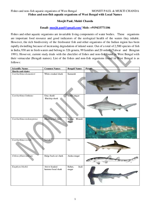 (PDF) Fishes and non-fish aquatic organisms of West Bengal with Local Names