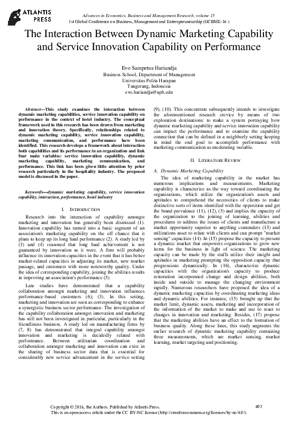 (PDF) The Interaction Between Dynamic Marketing Capability and Service ...