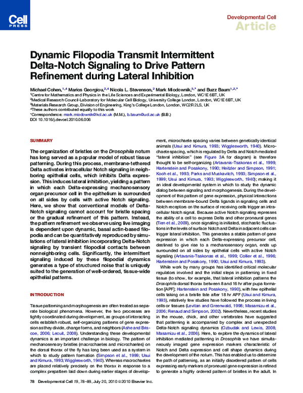 (PDF) Dynamic Filopodia Transmit Intermittent Delta-Notch Signaling to ...