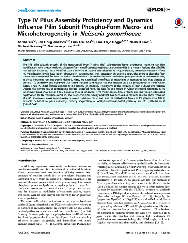(PDF) Type IV Pilus Assembly Proficiency and Dynamics Influence Pilin ...