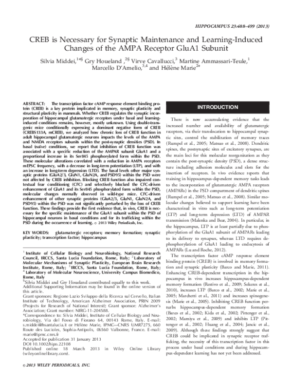 (PDF) CREB is necessary for synaptic maintenance and learning-induced ...