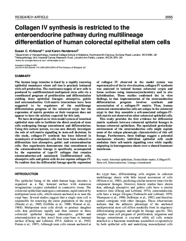 (PDF) Collagen IV synthesis is restricted to the enteroendocrine ...