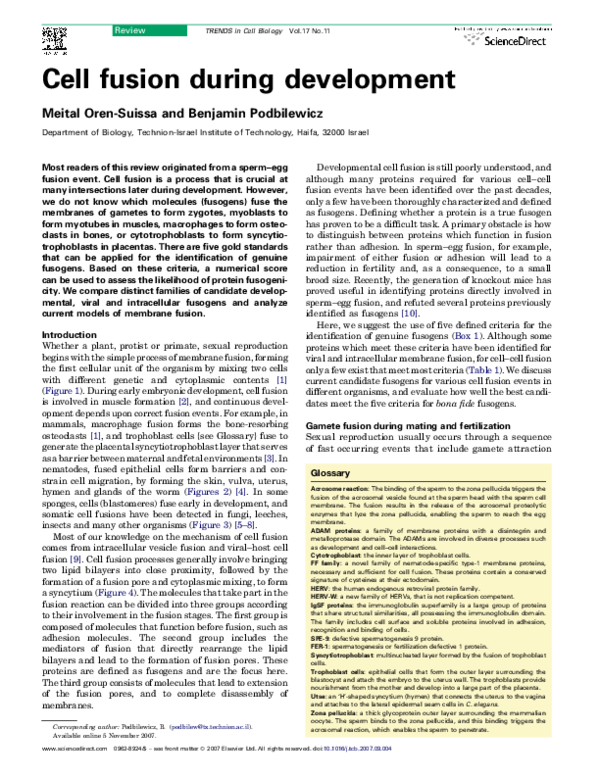 (PDF) Cell fusion during development