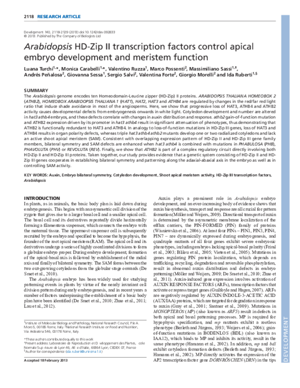 (PDF) Arabidopsis HD-Zip II transcription factors control apical embryo ...