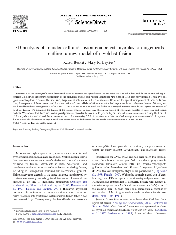 (PDF) 3D analysis of founder cell and fusion competent myoblast ...