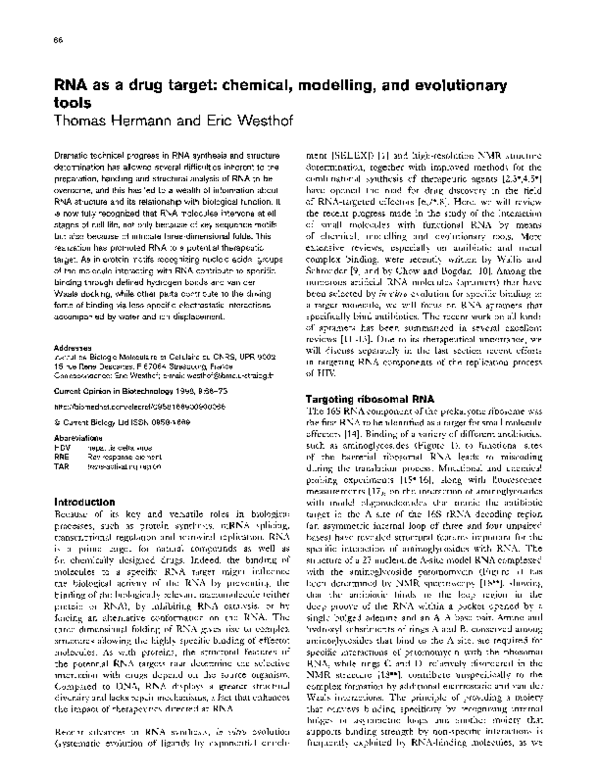 (PDF) RNA as a drug target: chemical, modelling, and evolutionary tools