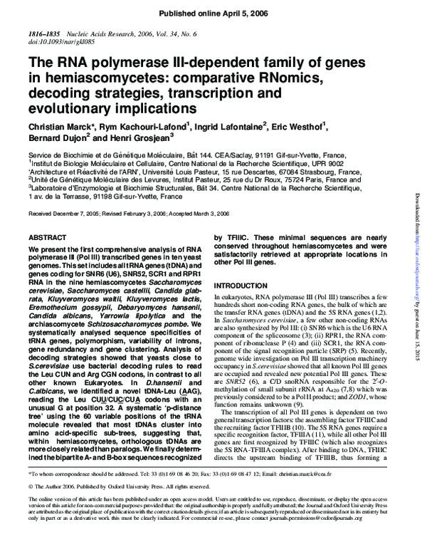 (PDF) The RNA polymerase III-dependent family of genes in ...
