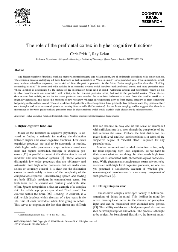(PDF) The role of the prefrontal cortex in higher cognitive functions
