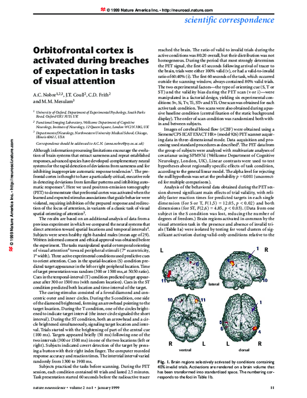 (PDF) Orbitofrontal cortex is activated during breaches of expectation in tasks of visual attention