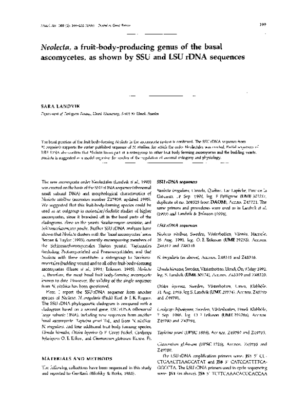 (PDF) Neolecta, a fruit-body-producing genus of the basal ascomycetes ...