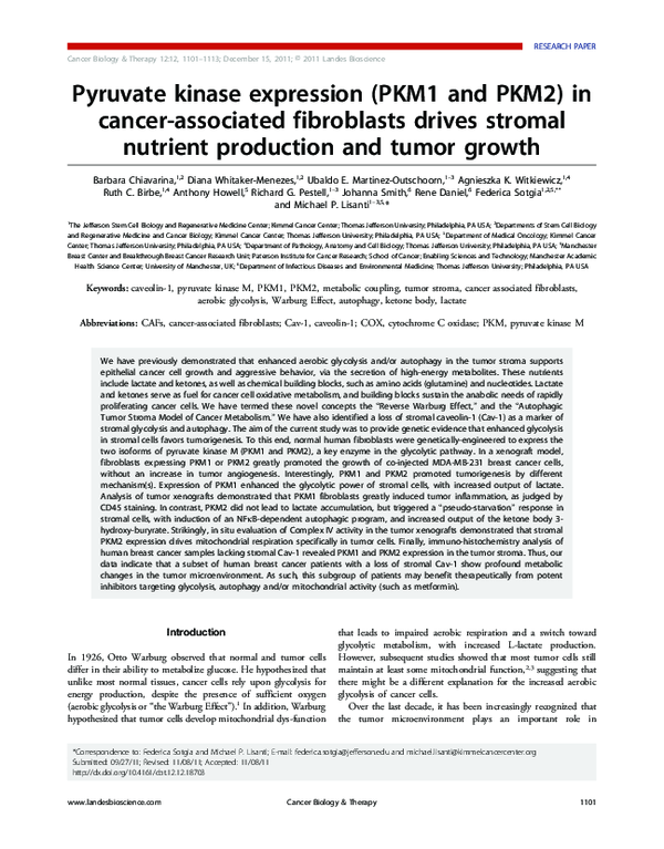 (PDF) Pyruvate kinase expression (PKM1 and PKM2) in cancer-associated ...