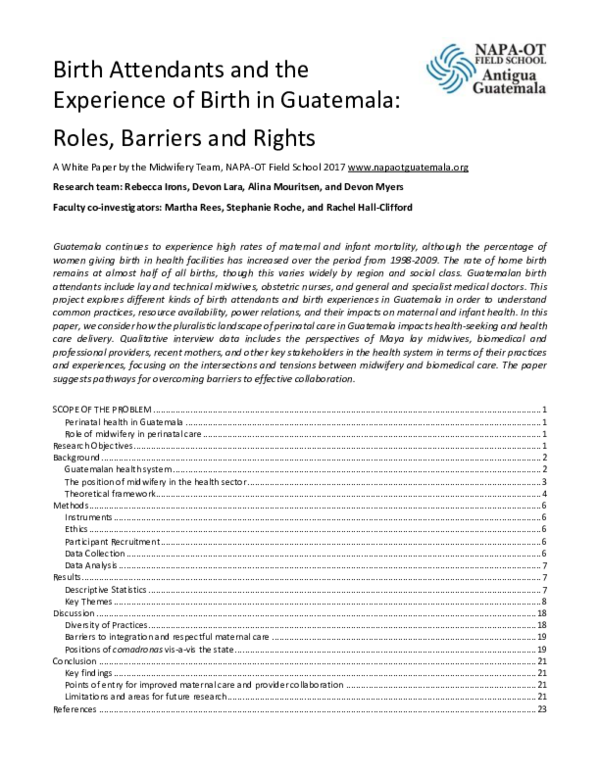(PDF) Birth Attendants and the Experience of Birth in Guatemala: Roles ...