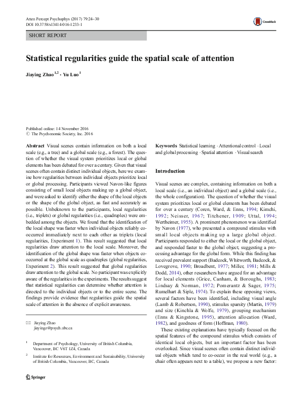 (PDF) Statistical regularities guide the spatial scale of attention