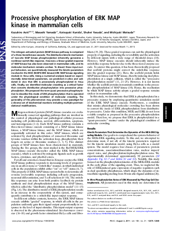 (PDF) Processive phosphorylation of ERK MAP kinase in mammalian cells
