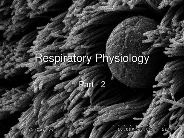 (PPT) Respiratory Physiology
