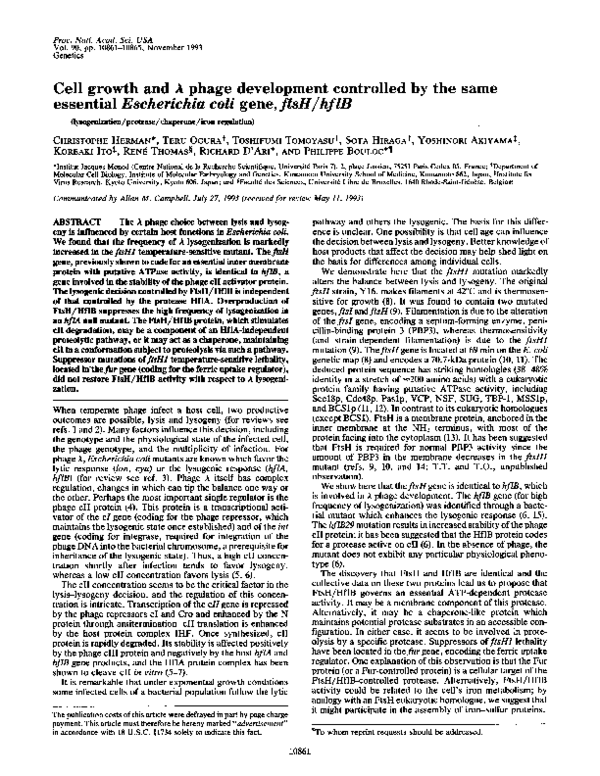 Pdf Cell Growth And Lambda Phage Development Controlled By The Same Essential Escherichia Coli