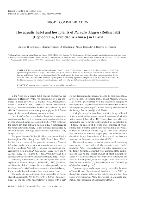 (PDF) The aquatic habit and host plants of Paracles klagesi (Rothschild ...
