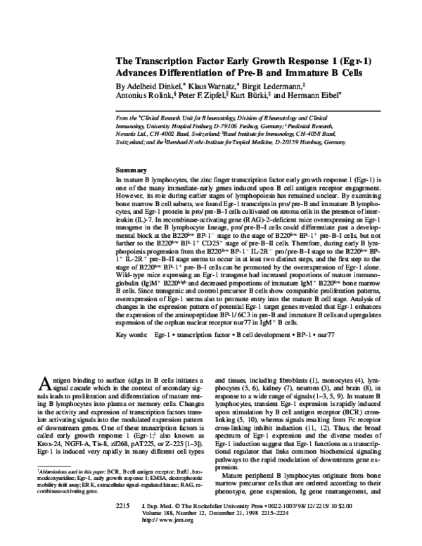 (PDF) The Transcription Factor Early Growth Response 1 (Egr-1) Advances ... (PDF) The Transcription Factor Early Growth Response 1 (Egr-1) Advances ...