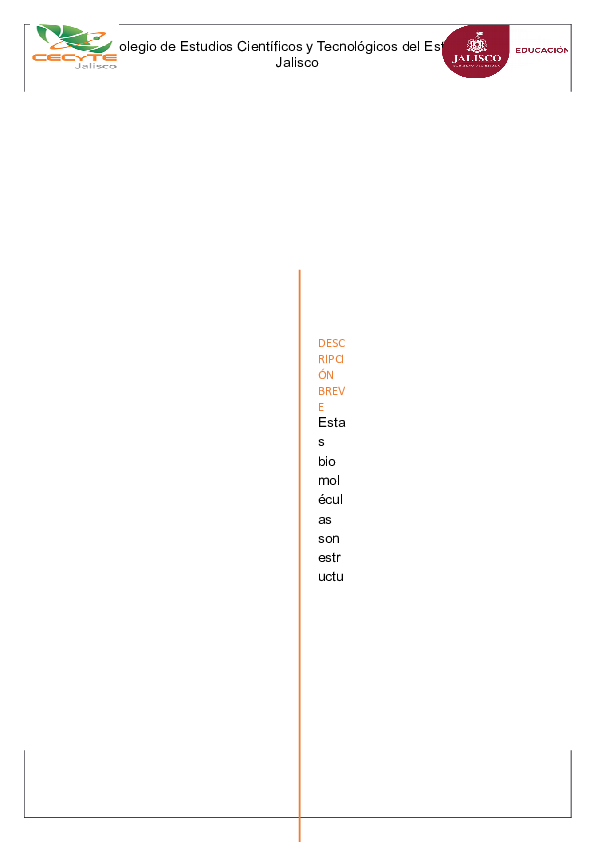 (DOC) ADN y ARN Genetica.
