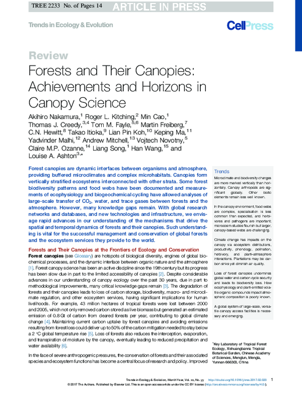 (PDF) Forests and Their Canopies: Achievements and Horizons in Canopy ...