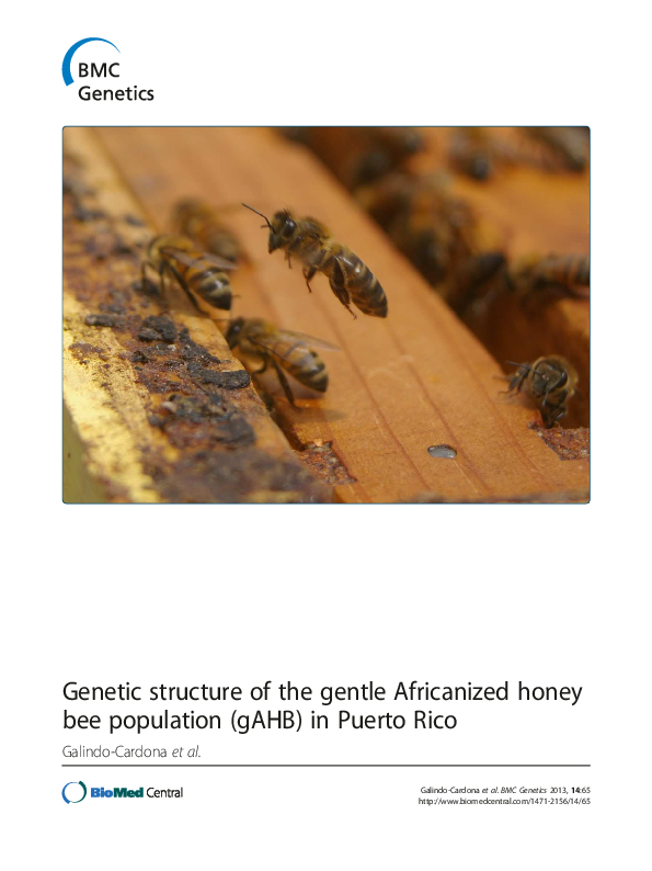 (PDF) Genetic Structure of Africanized Honey Bees in PR