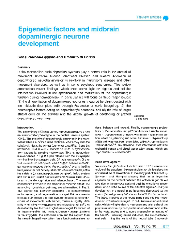 (PDF) Epigenetics in Dopaminergic Neuron Development