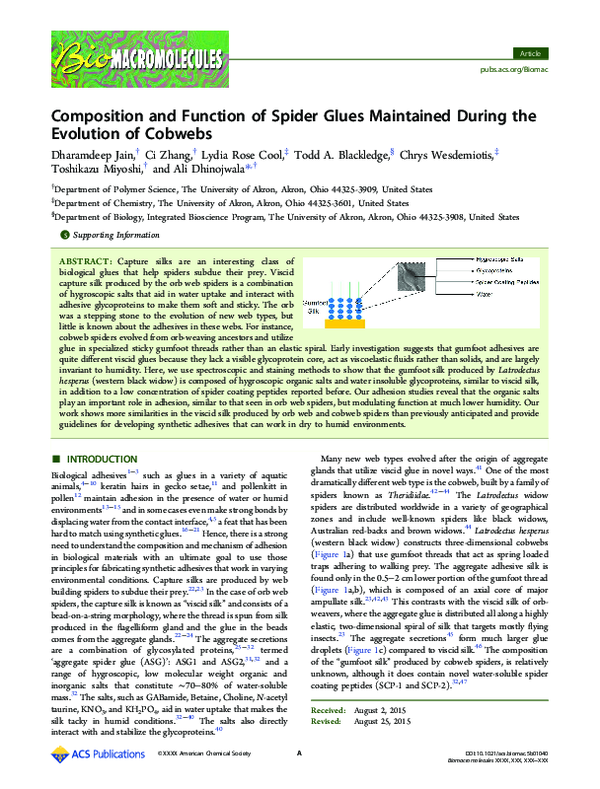 (PDF) Composition and Function of Spider Glues Maintained During the ...