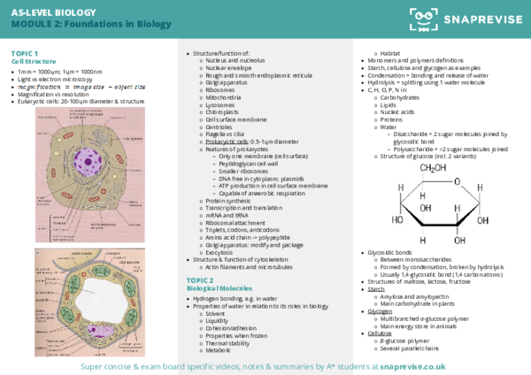 (PDF) MODULE 2: Foundations in Biology AS-LEVEL BIOLOGY TOPIC 1 Cell ...