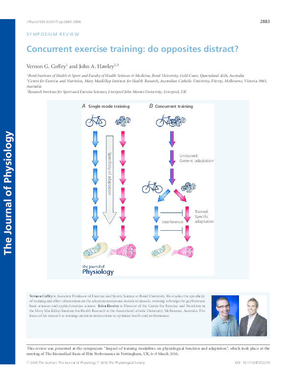 (PDF) Concurrent exercise training: do opposites distract? Single mode ...