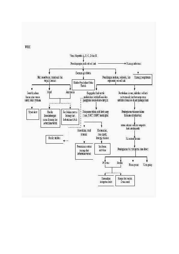(DOC) Pathway hepatitis