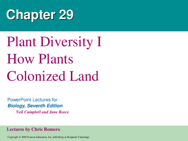 (PPT) 29 PLANT DIVERSITY I.ppt