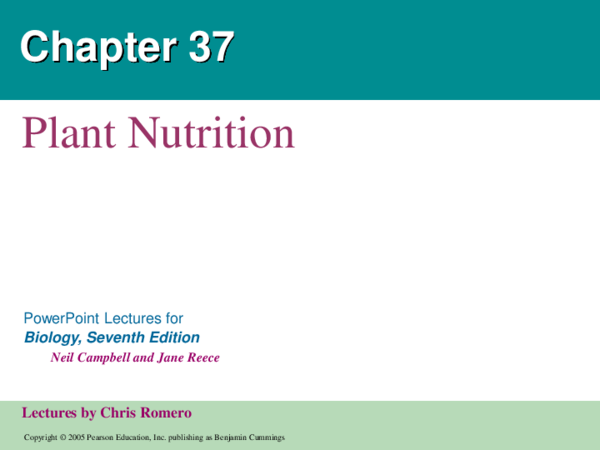 (PPT) 37 PLANT NUTRITION.ppt